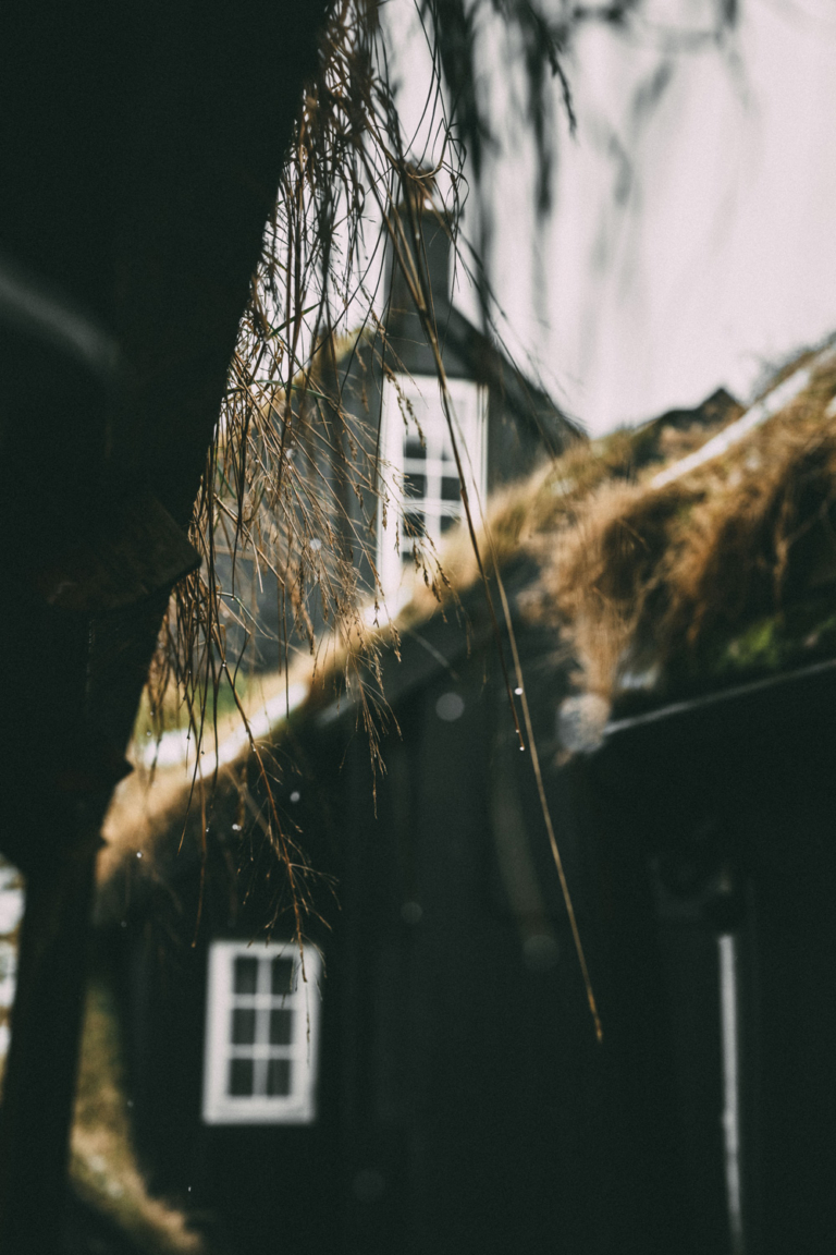 Barbara – Fish House