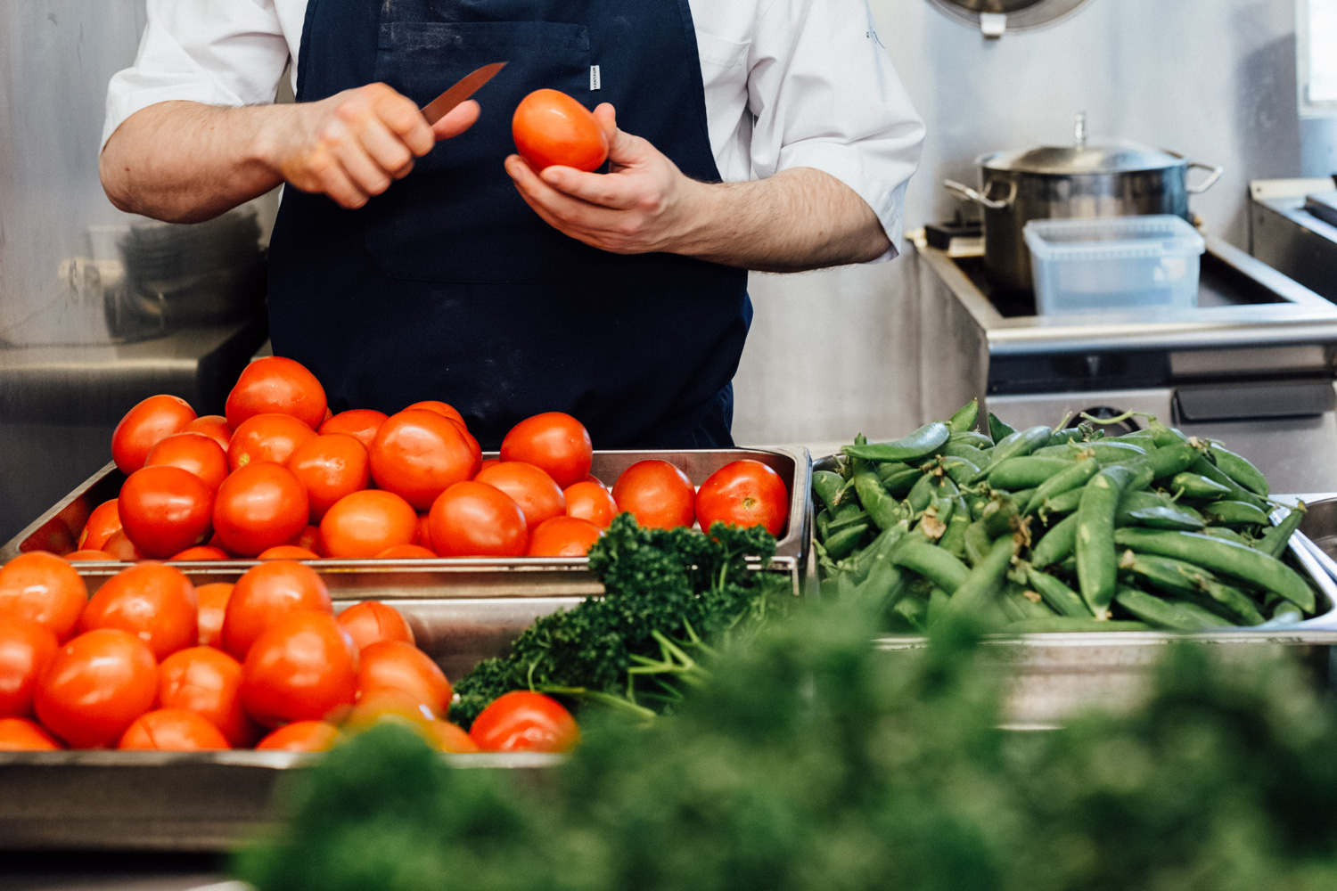 Barbara – Fish House