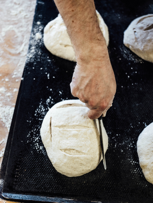 Barbara – Fish House