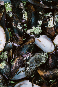 Barbara – Fish House