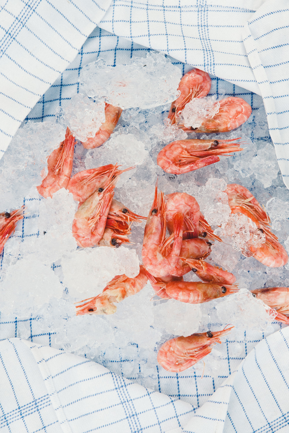 Barbara – Fish House